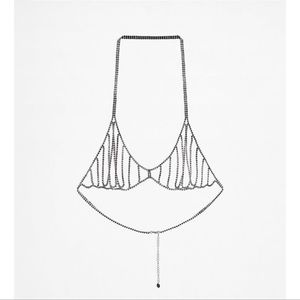 Zara | Tops | Zara Rhinestone Jewel Top | Poshmark